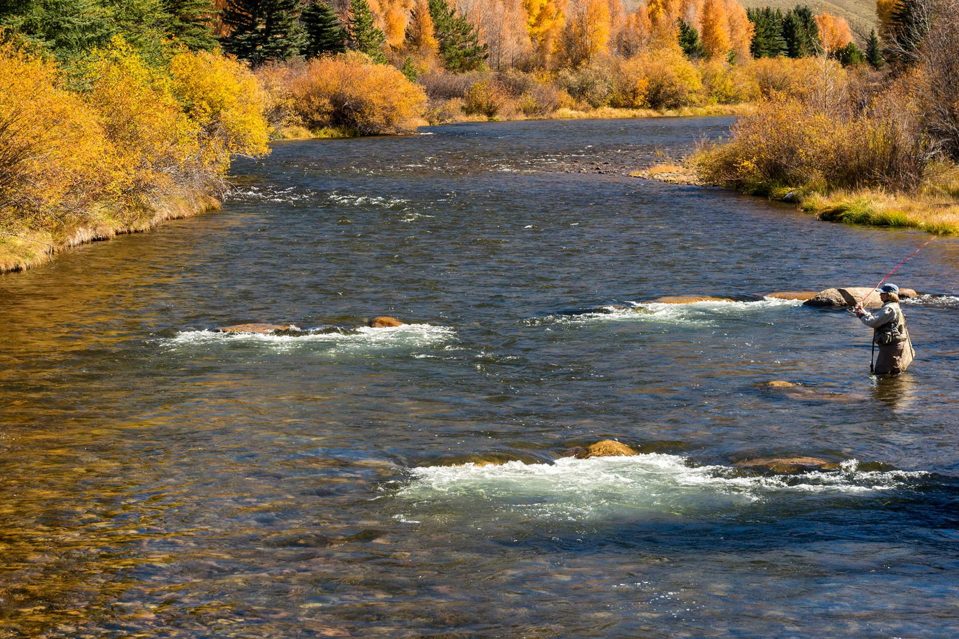 Riparian – Colorado Birding Trail